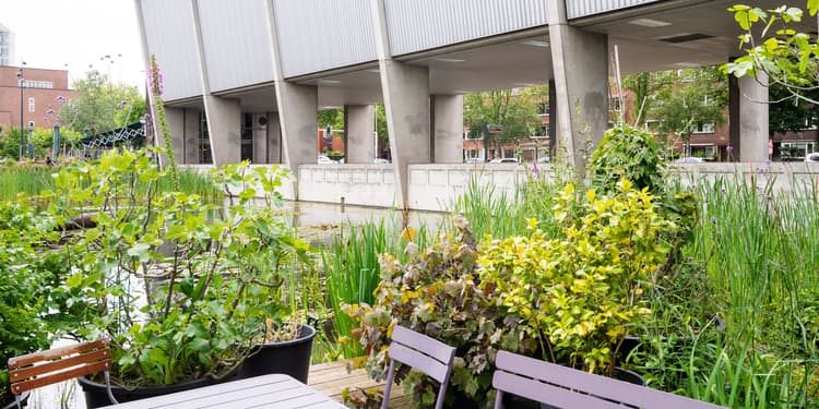 Nieuwe Instituut | museum for architecture, design & digital culture