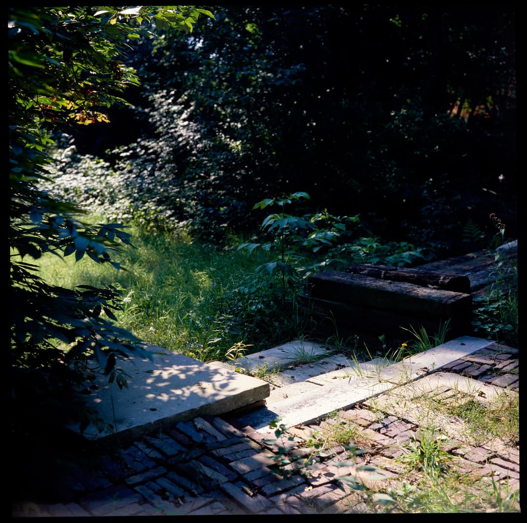 Exploring the Estate of Louis Le Roy