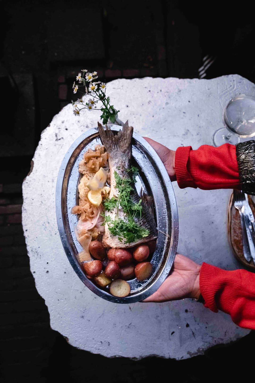 From Ship to Shop by Brogen Berwick