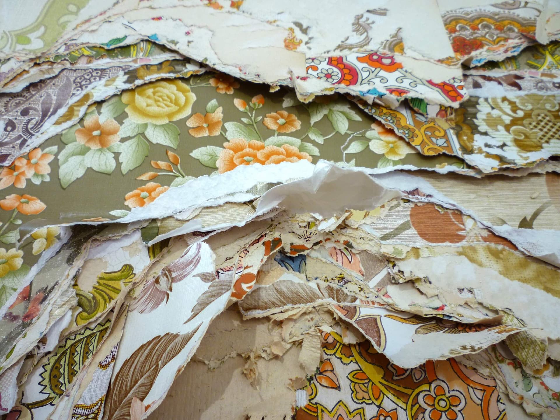 Preview van de nieuwe tentoonstellingen